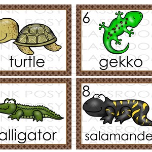 Reptiles Vocabulary Cards, Reptiles and Amphibians Printable, Literacy ...