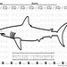 Shark Coloring Pages, Color and Trace the Letters, Printable Shark ...