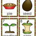 Johnny Appleseed Vocabulary Cards, Johnny Appleseed Printable, Autumn ...
