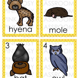 Nocturnal Animals Vocabulary Cards, Nocturnal Animal Printable ...