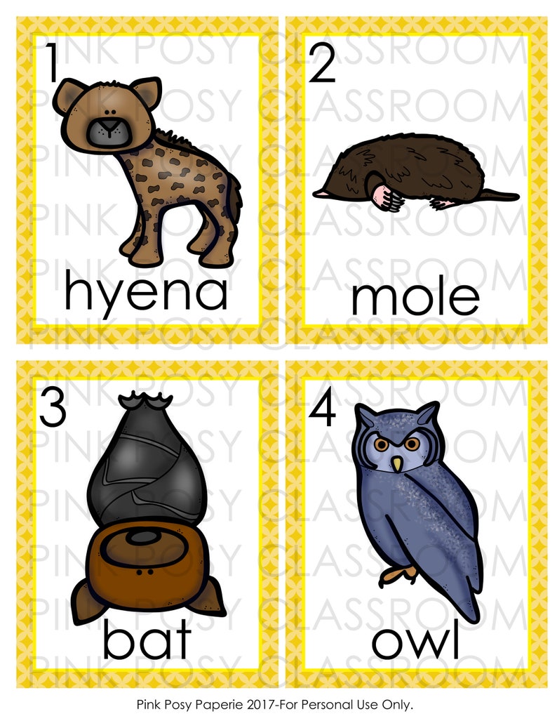 Nocturnal Animals Vocabulary Cards, Nocturnal Animal Printable ...