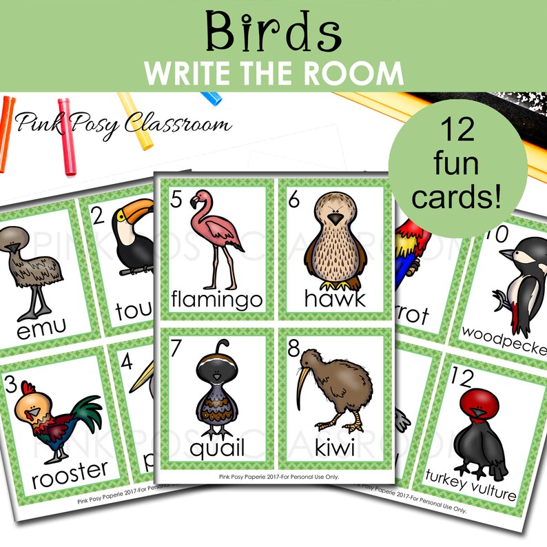 Bird Vocabulary Cards, Bird Printable, Literacy Center, Writing ...