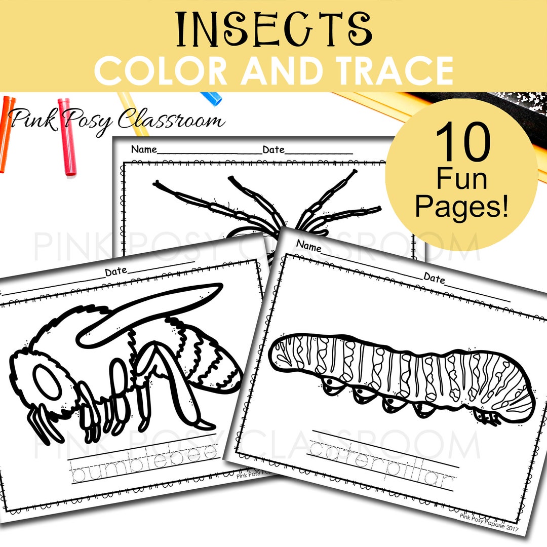 Insect Coloring Pages, Color and Trace the Letter, Insect Activities ...
