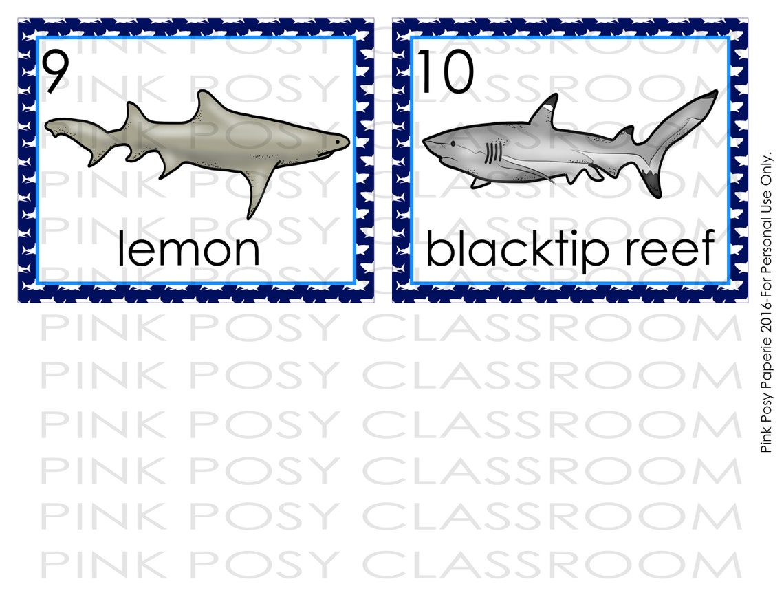 Shark Vocabulary Cards, Sharks Printable, Literacy Center, Writing ...
