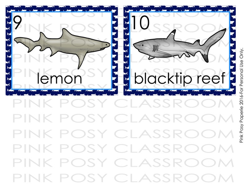 Shark Vocabulary Cards, Sharks Printable, Literacy Center, Writing ...