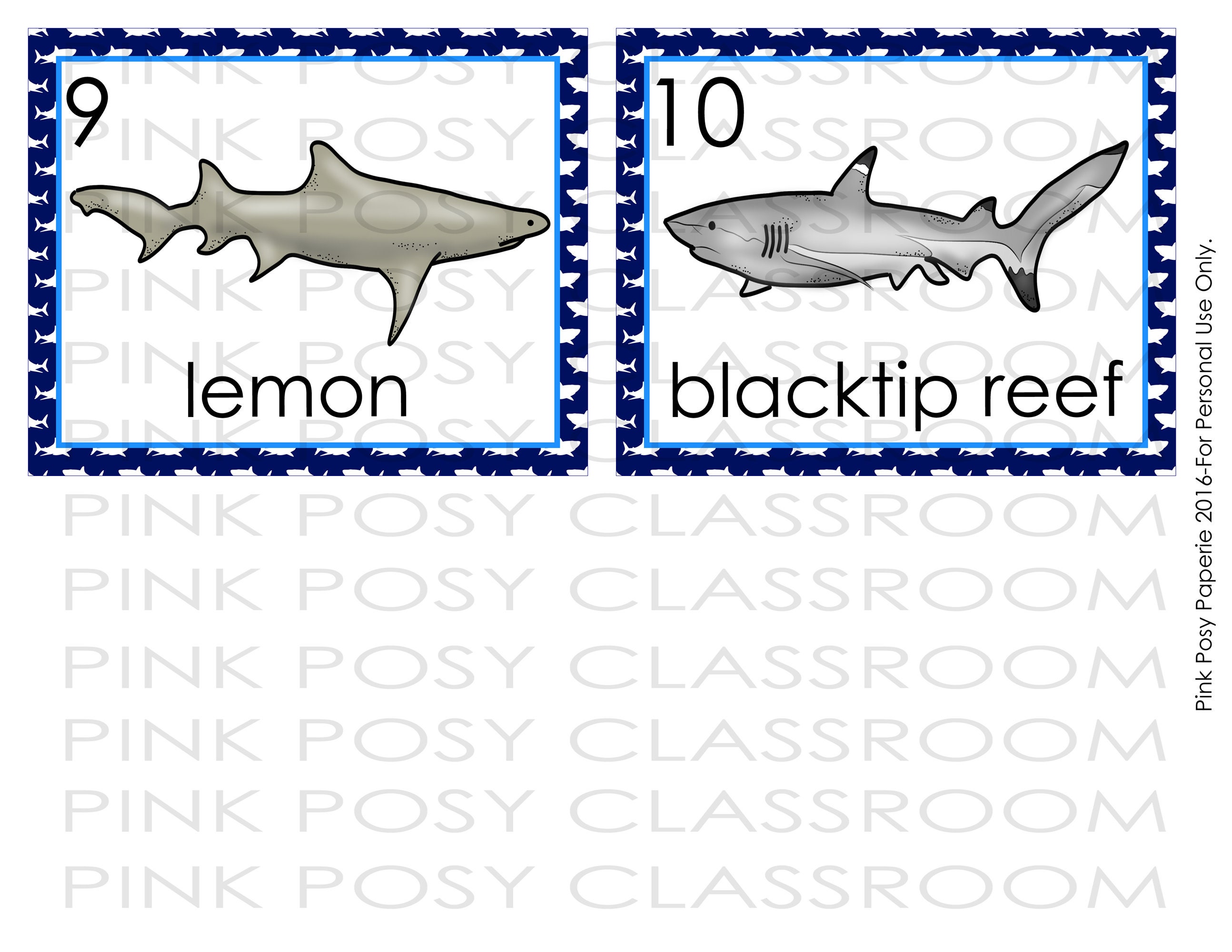 Shark Vocabulary Cards, Sharks Printable, Literacy Center, Writing ...