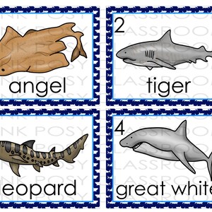 Shark Vocabulary Cards, Sharks Printable, Literacy Center, Writing ...