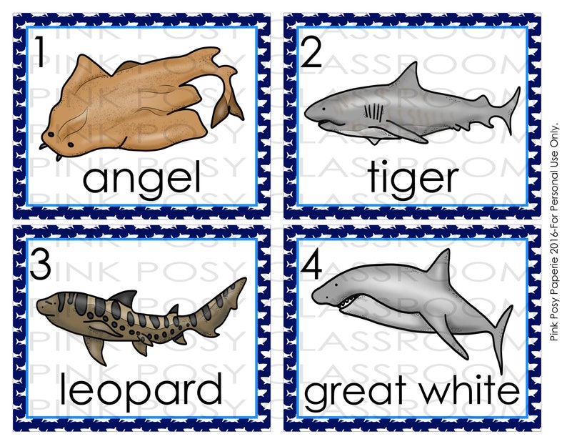 Shark Vocabulary Cards, Sharks Printable, Literacy Center, Writing ...