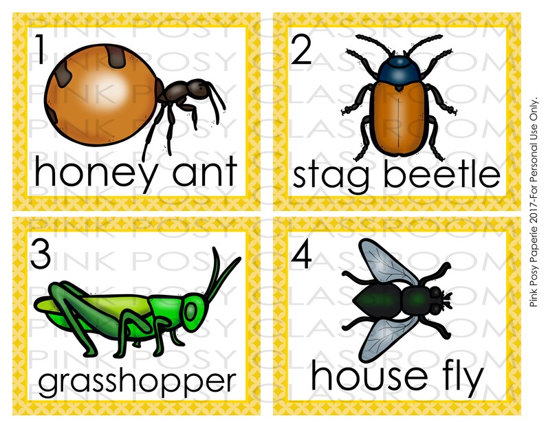 Insects Vocabulary Cards Insects Printable Literacy Center - Etsy