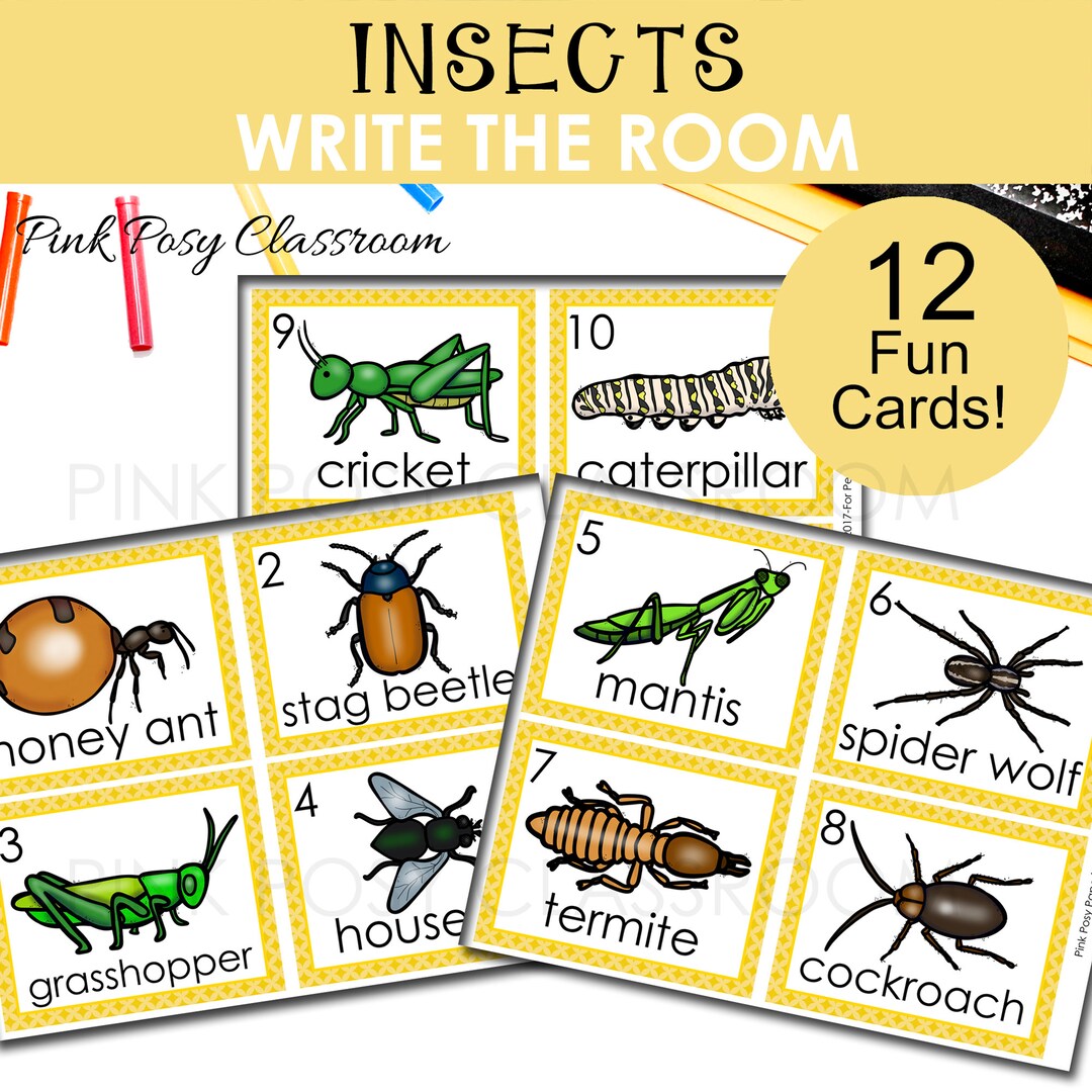 Insects Vocabulary Cards Insects Printable Literacy Center - Etsy