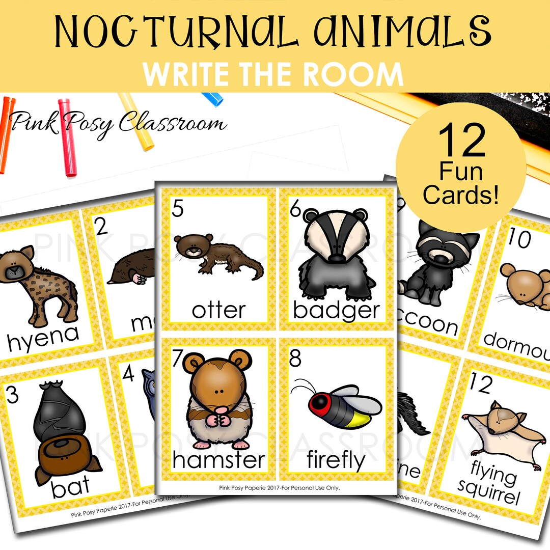 Nocturnal Animals Vocabulary Cards, Nocturnal Animal Printable ...