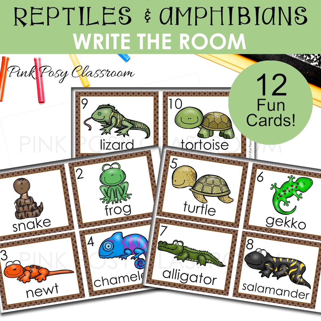 Reptiles Vocabulary Cards, Reptiles and Amphibians Printable, Literacy ...