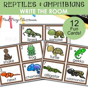 Reptiles Vocabulary Cards, Reptiles and Amphibians Printable, Literacy ...