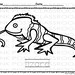 Reptiles and Amphibians Coloring Pages, Color and Trace the Word ...