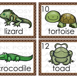 Reptiles Vocabulary Cards, Reptiles and Amphibians Printable, Literacy ...