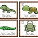 Reptiles Vocabulary Cards, Reptiles and Amphibians Printable, Literacy ...