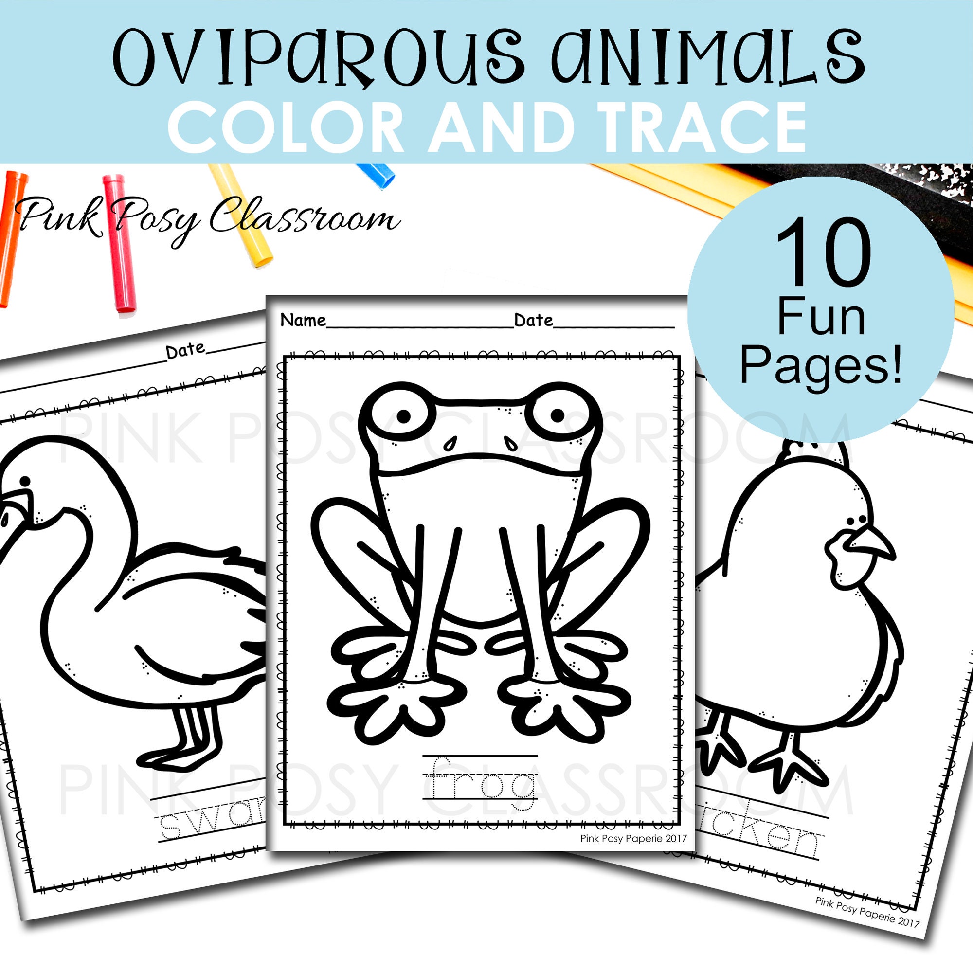 Oviparous Animals Worksheet