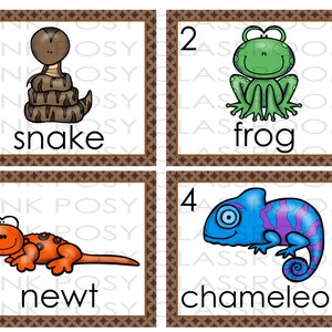 Reptiles Vocabulary Cards, Reptiles and Amphibians Printable, Literacy ...