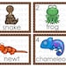 Reptiles Vocabulary Cards, Reptiles and Amphibians Printable, Literacy ...