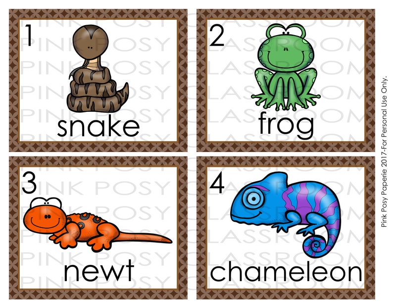 Reptiles Vocabulary Cards, Reptiles and Amphibians Printable, Literacy ...