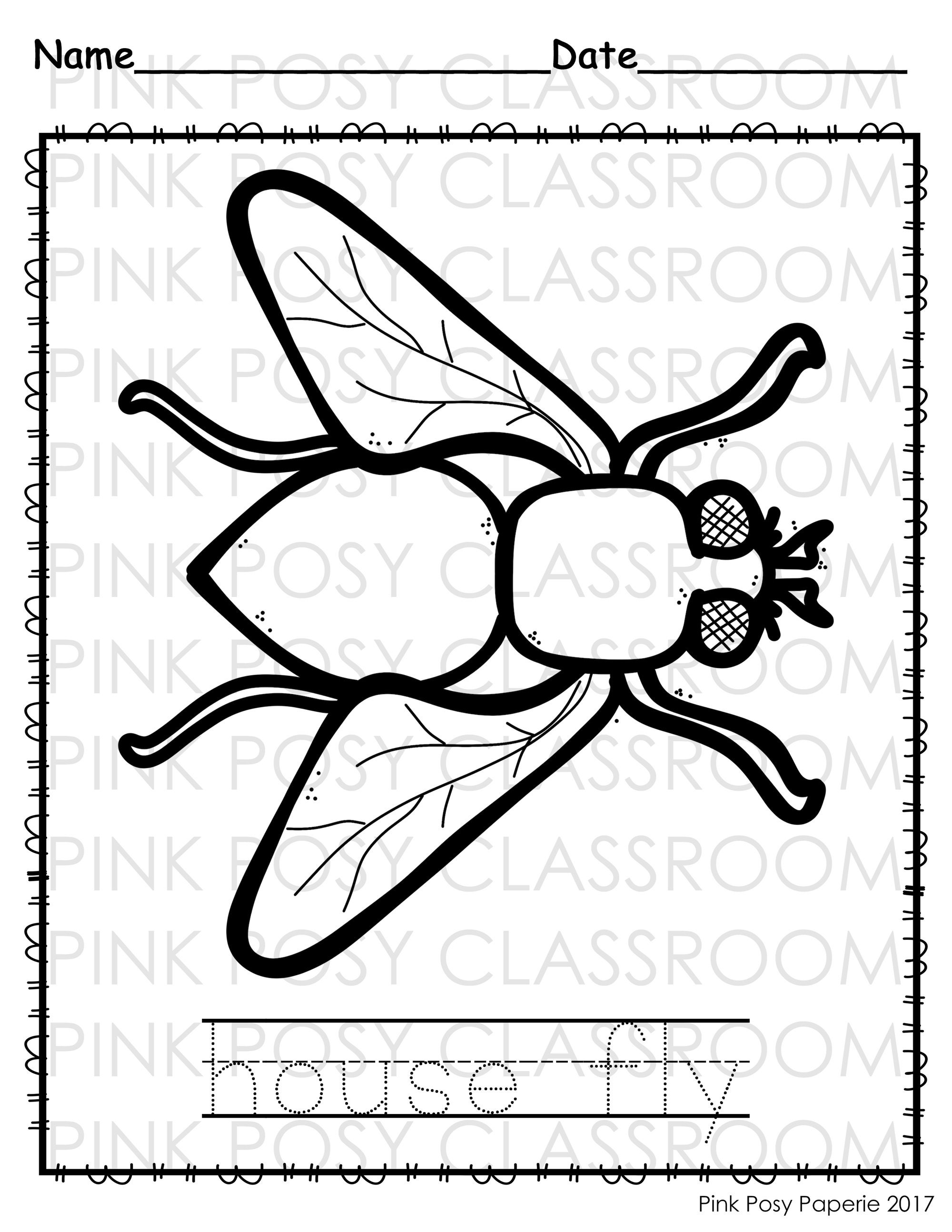 Insect Coloring Pages, Color and Trace the Letter, Insect Activities ...