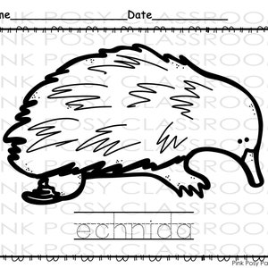 Oviparous Animal Coloring Pages, Color and Trace the Letters, Animal ...
