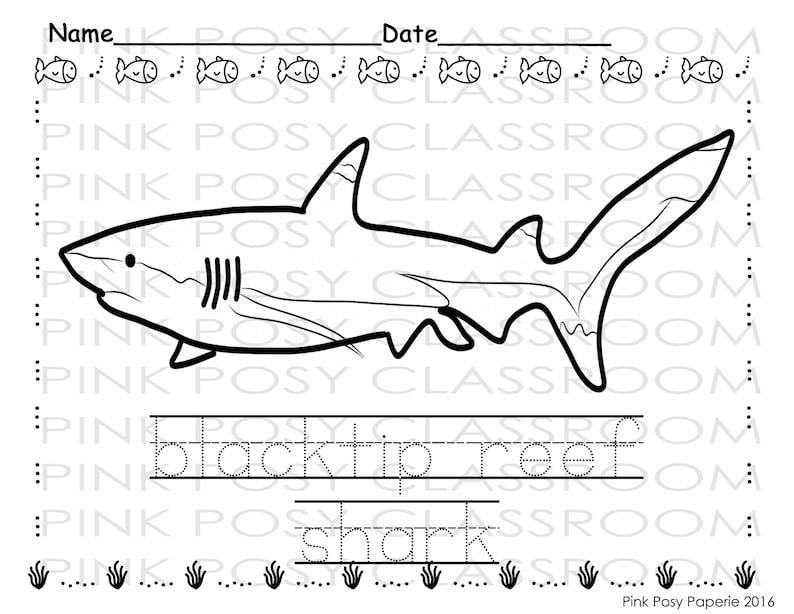 Shark Coloring Pages, Color and Trace the Letters, Printable Shark ...