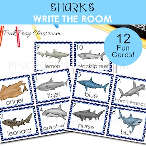 Rainforest Animals Writing Paper, Rainforest Stationery, Printable ...