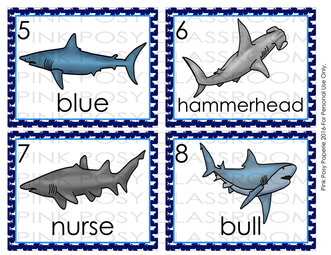 Shark Vocabulary Cards, Sharks Printable, Literacy Center, Writing ...