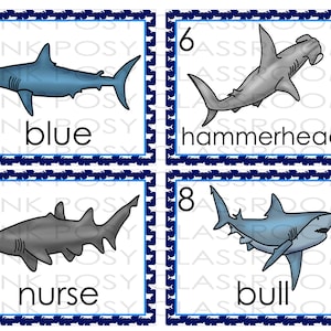 Shark Vocabulary Cards, Sharks Printable, Literacy Center, Writing ...