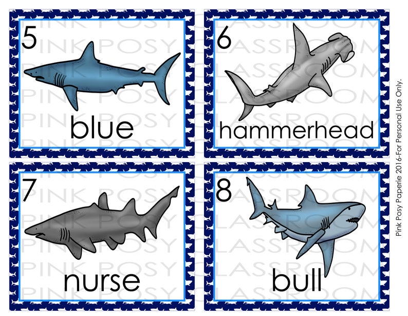 Shark Vocabulary Cards, Sharks Printable, Literacy Center, Writing ...