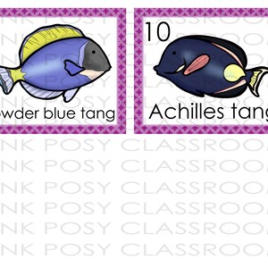 Fish Vocabulary Cards, Fish Printable, Literacy Center, Writing ...