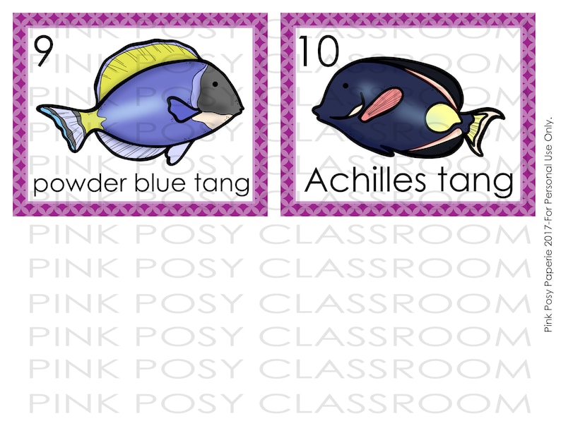 Fish Vocabulary Cards Fish Printable Literacy Center - Etsy