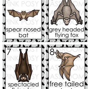 Bat Vocabulary Cards Bats Printable Literacy Center Writing - Etsy