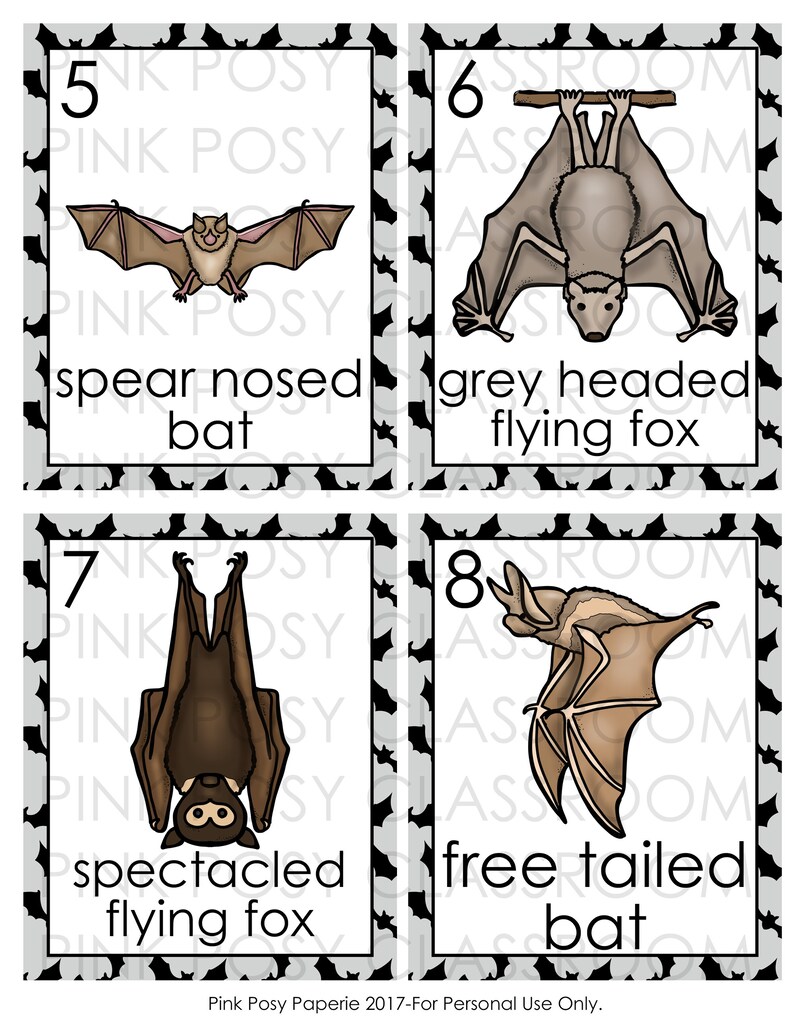 Bat Vocabulary Cards Bats Printable Literacy Center Writing - Etsy
