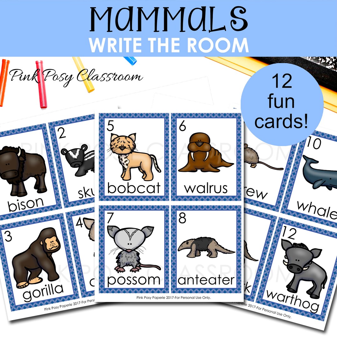 Mammals Vocabulary Cards, Mammals Printable, Literacy Center, Writing ...