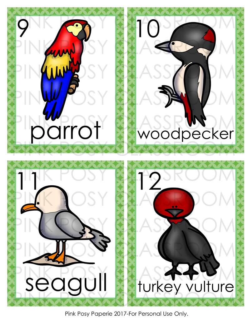 Bird Vocabulary Cards, Bird Printable, Literacy Center, Writing ...