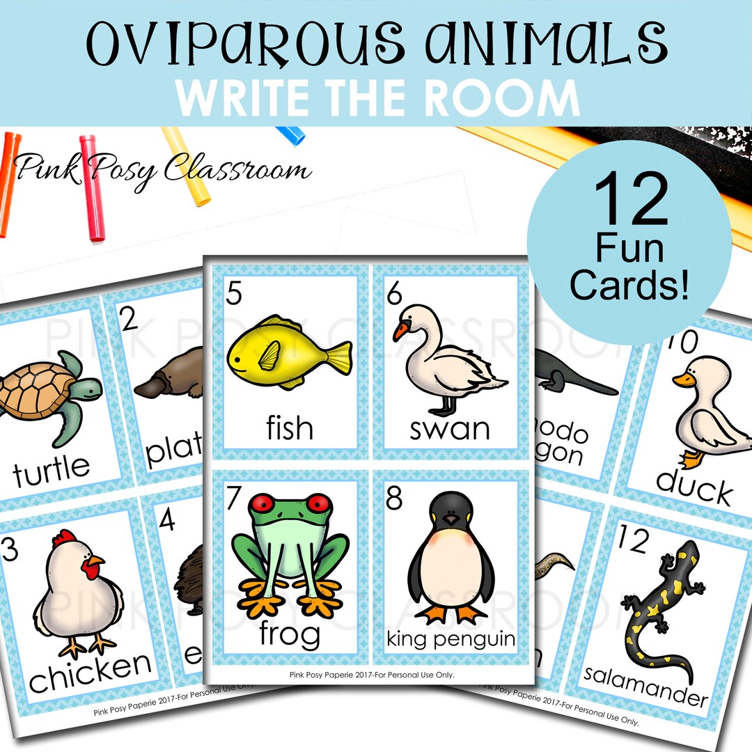 Oviparous Animals Vocabulary Cards, Oviparous Printable, Literacy ...