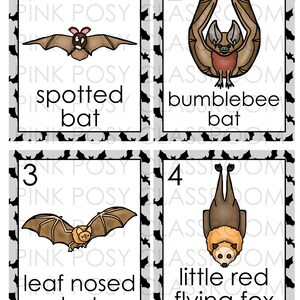 Bat Vocabulary Cards Bats Printable Literacy Center Writing - Etsy