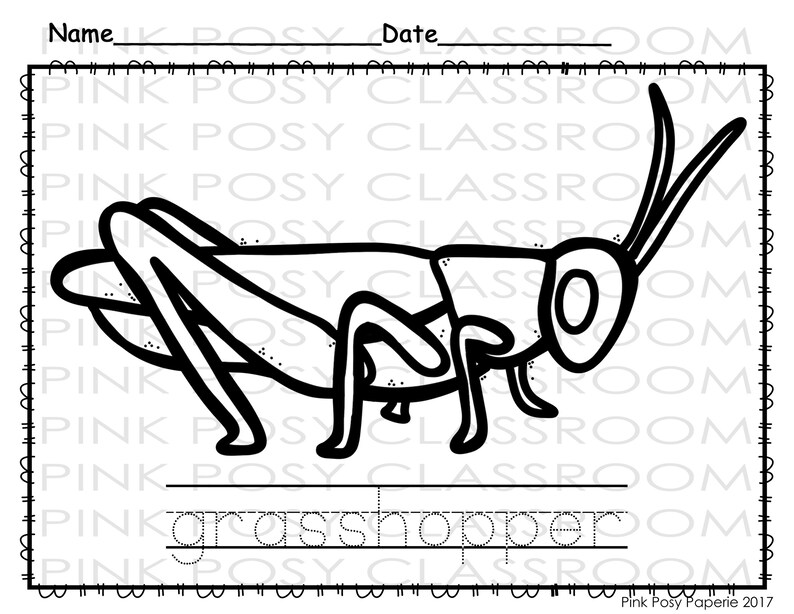 Insect Coloring Pages Color and Trace the Letter Insect - Etsy