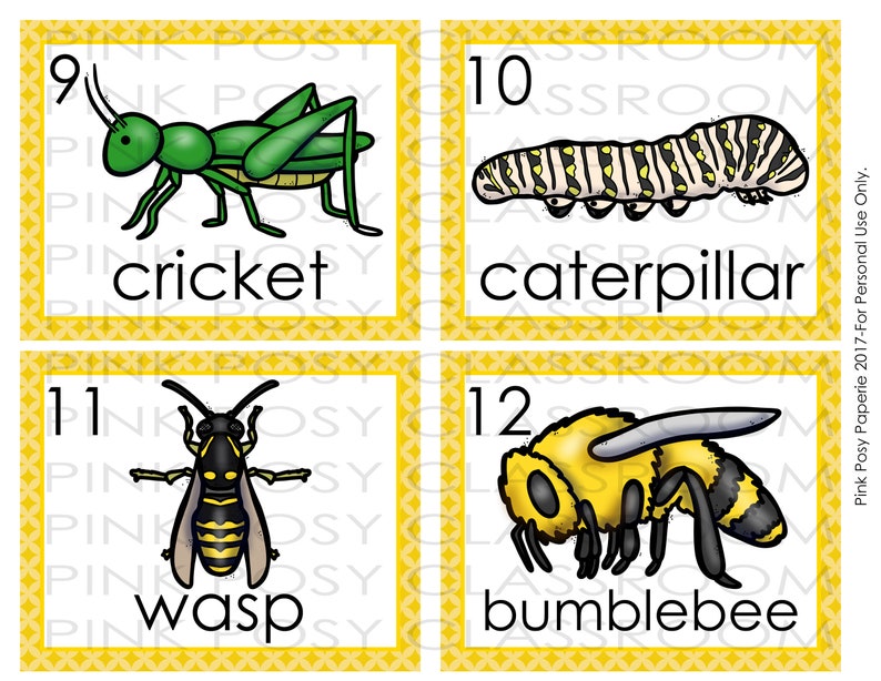 Insects Vocabulary Cards Insects Printable Literacy Center - Etsy
