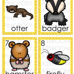 Nocturnal Animals Vocabulary Cards, Nocturnal Animal Printable ...