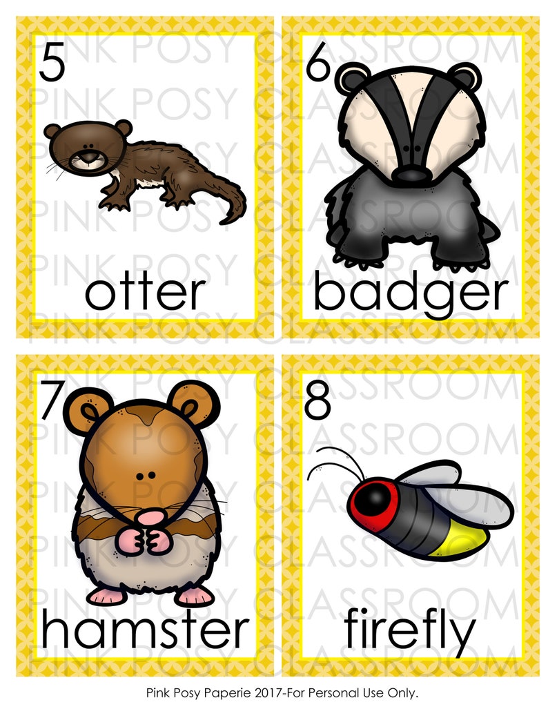 Nocturnal Animals Vocabulary Cards, Nocturnal Animal Printable ...