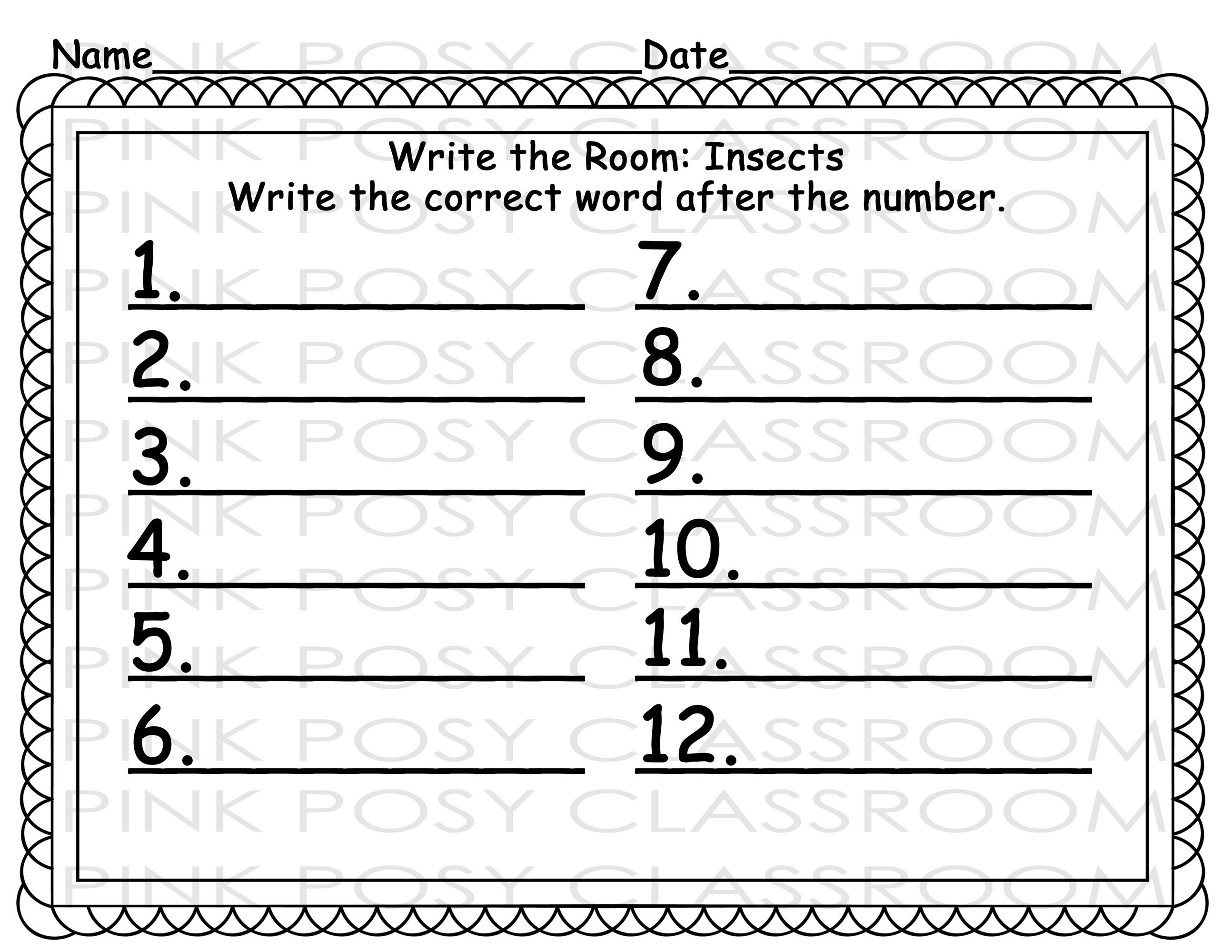 Insects Vocabulary Cards Insects Printable Literacy Center - Etsy