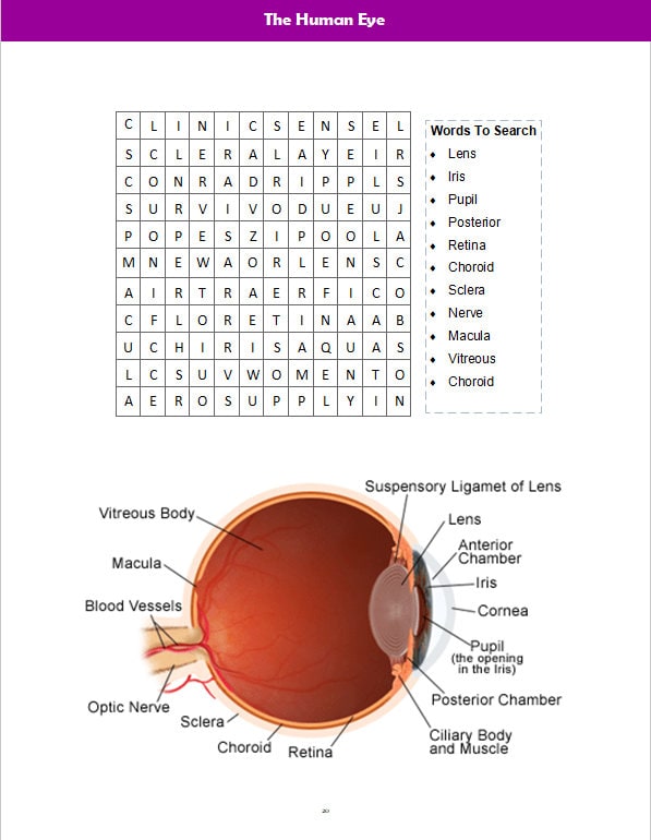 Word Search Puzzle With Images Perfect PDF or Digital Download and ...