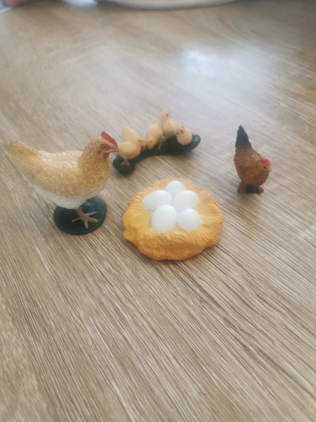 Life Cycle of the Mimi Montessori Hen - Etsy