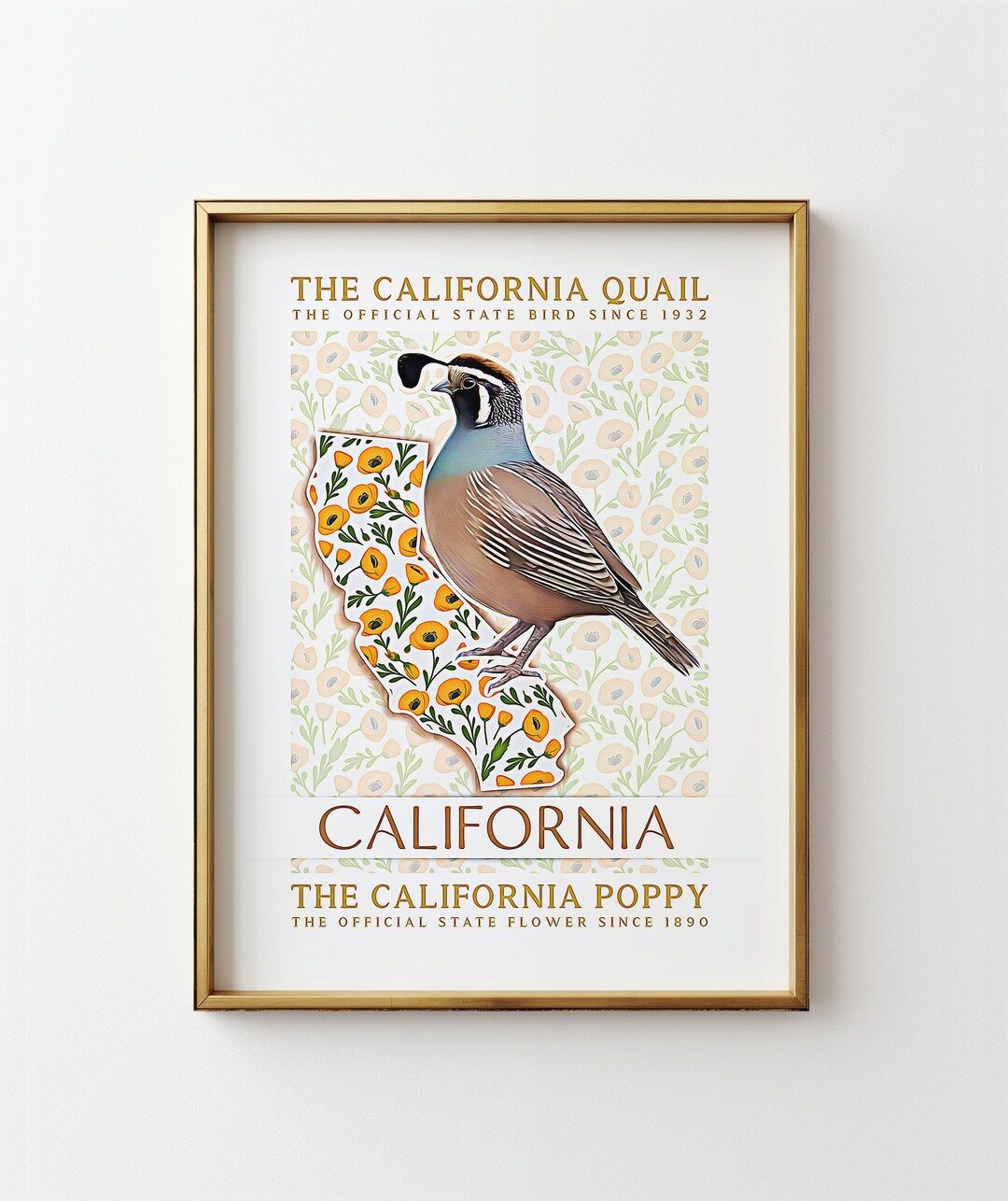 California State Bird, California Quail Art Print, California State ...