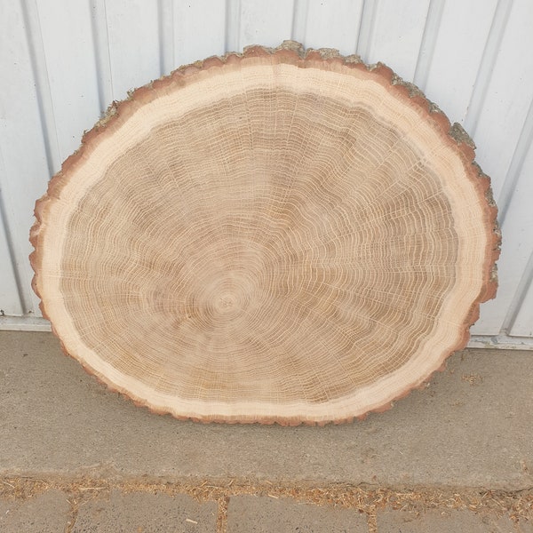 Baumscheibe - Etsy.de