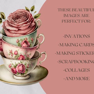 Vintage Pink Roses Clipart Watercolor 9 PNG Files Vintage Lady Clipart ...