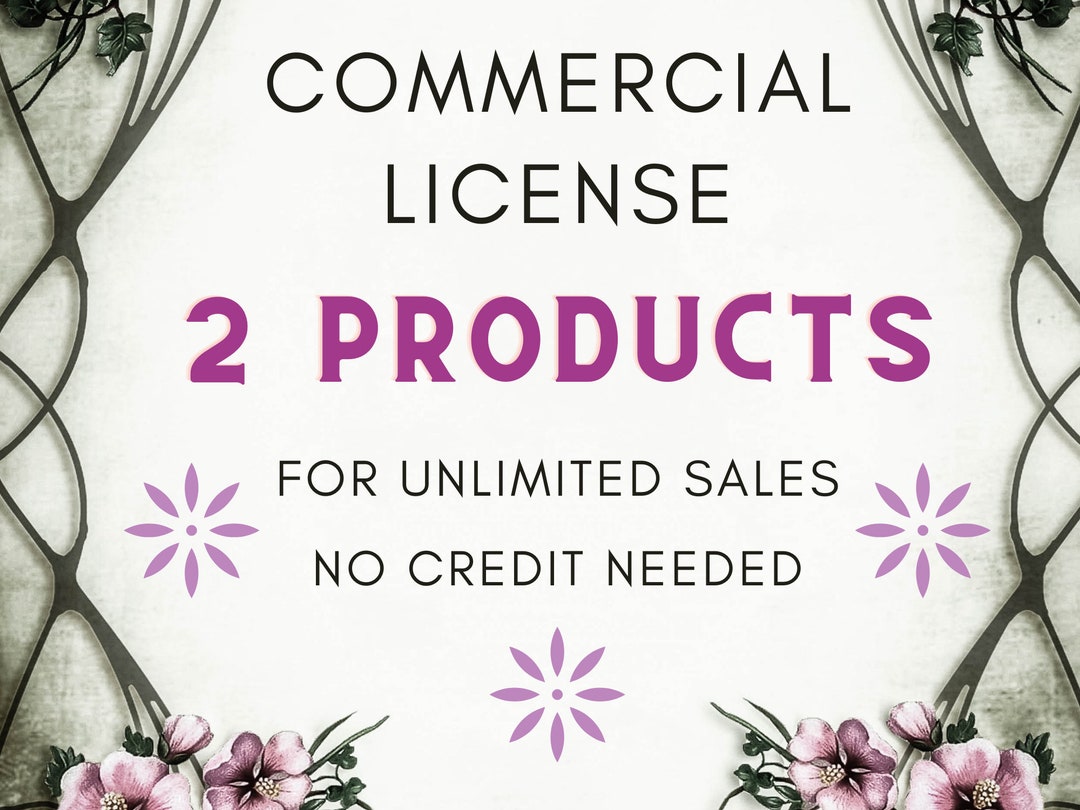 Unlimited Commercial License for Two Products - Use It Forever! - Right ...